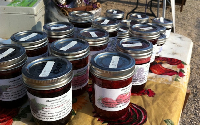 Follow Us on Facebook & Instagram!